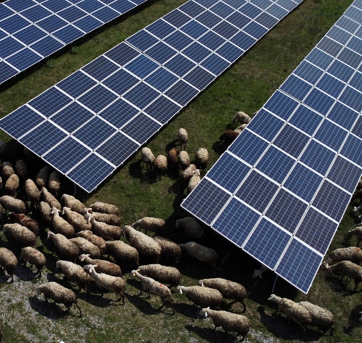 ALEMANIA IMPULSA LA ENERGÍA SOLAR EN TIERRAS AGRÍCOLAS PARA CUMPLIR SUS ...